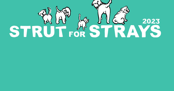 Strut for Strays 2023